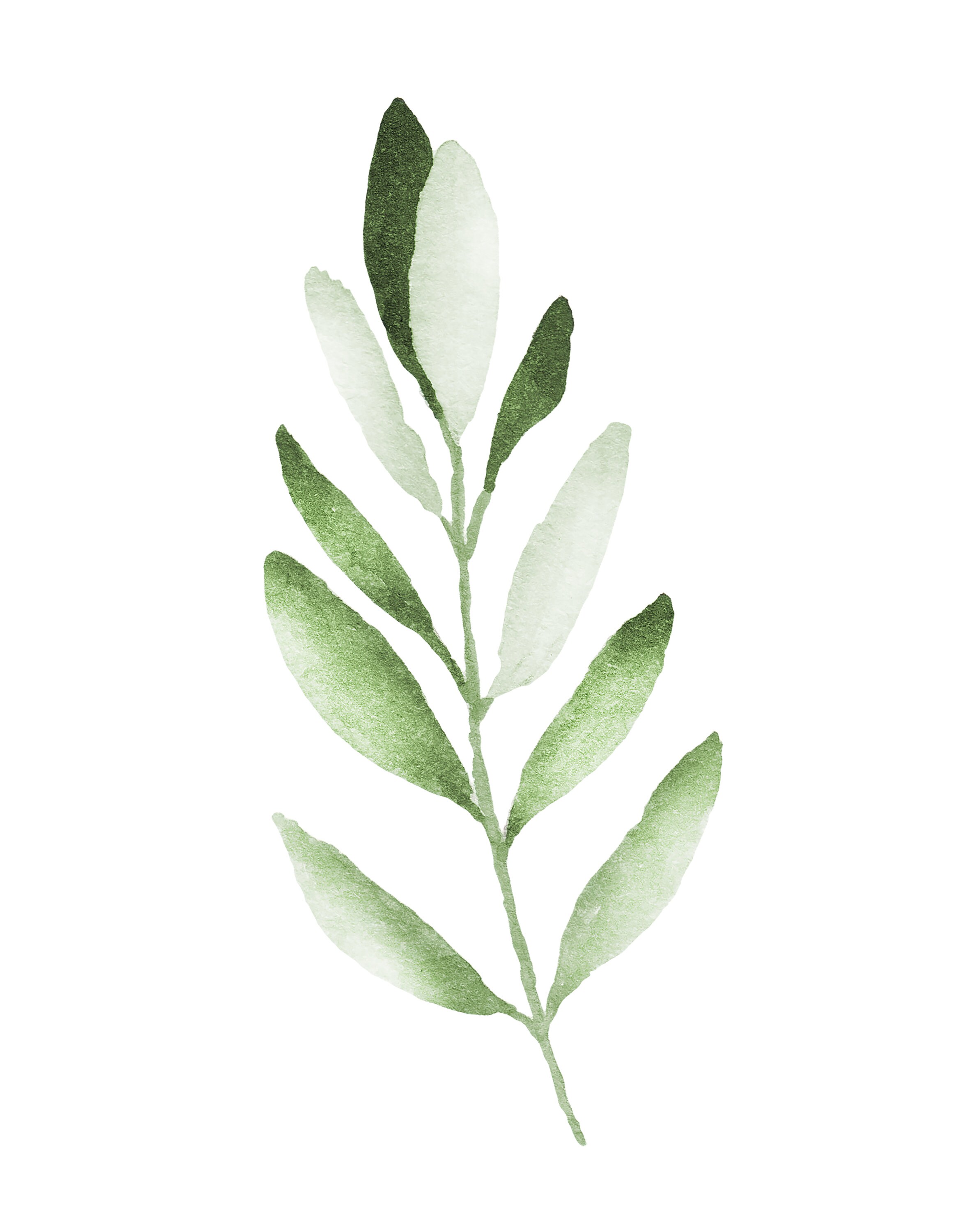 3 Botanical Prints Printable Set of 3 Watercolor Botanical | Etsy