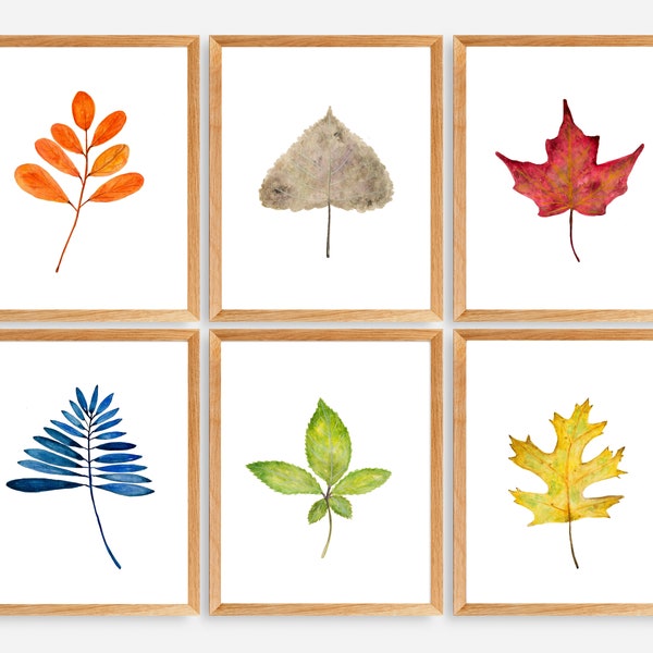 Fall Leaves Print - Etsy
