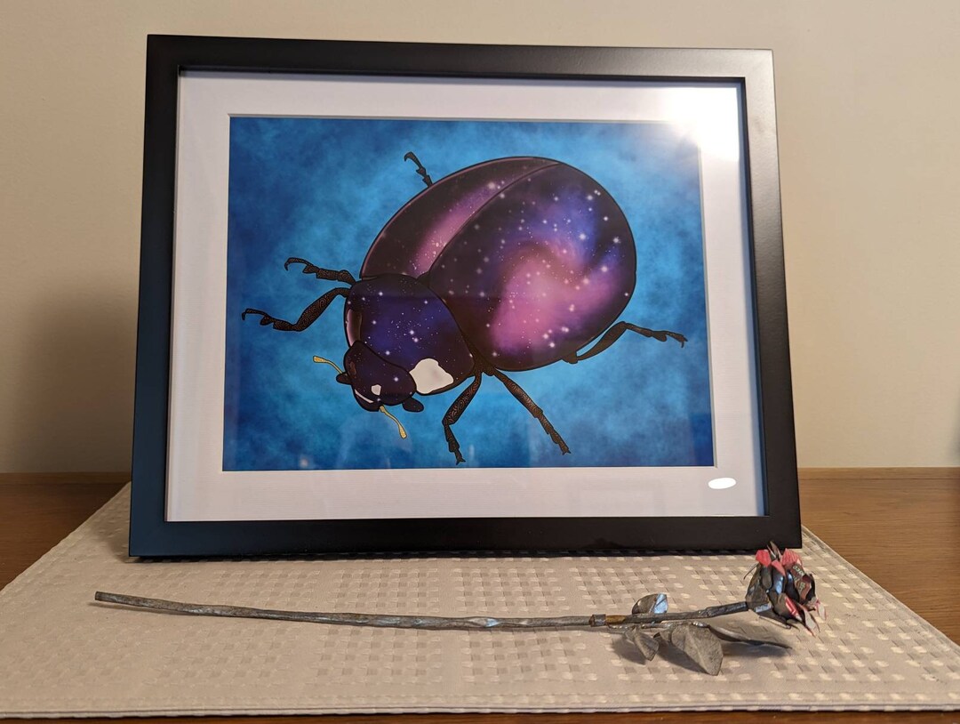 Space Ladybug - Etsy