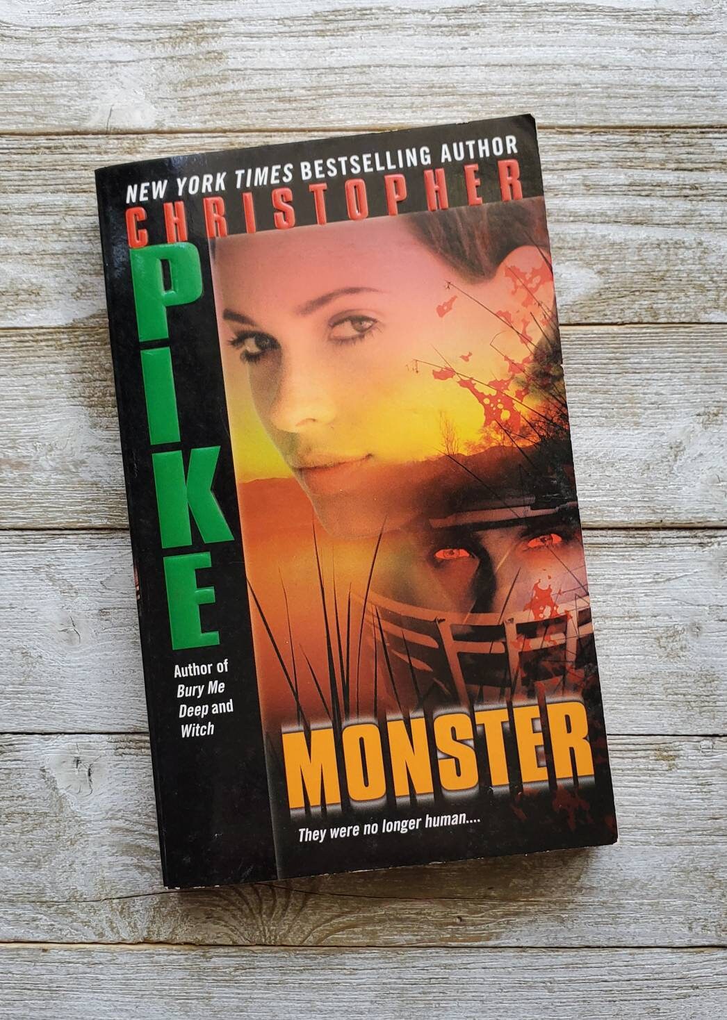 Christopher Pike Books choose One - Etsy