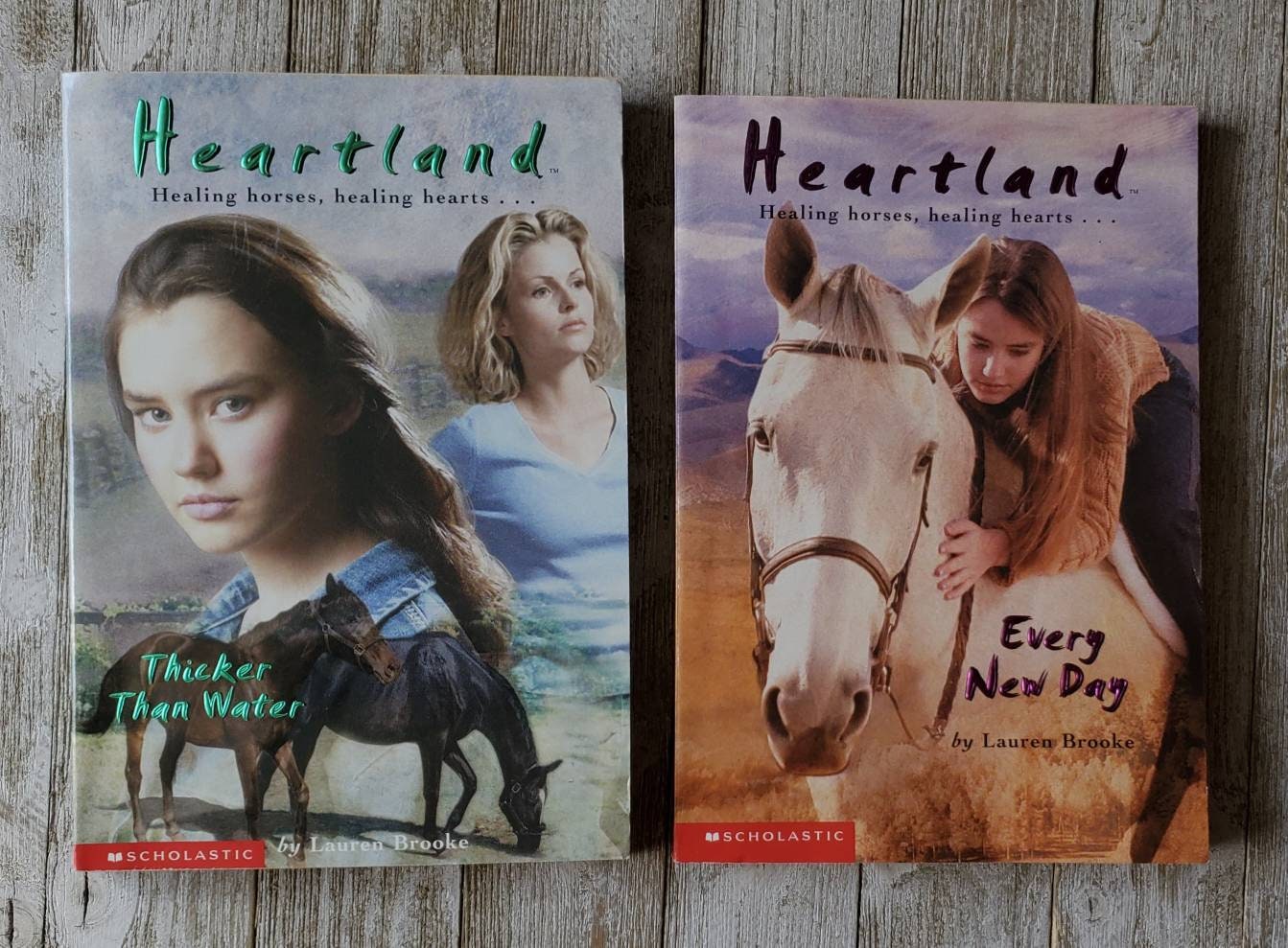 Heartland Book Series