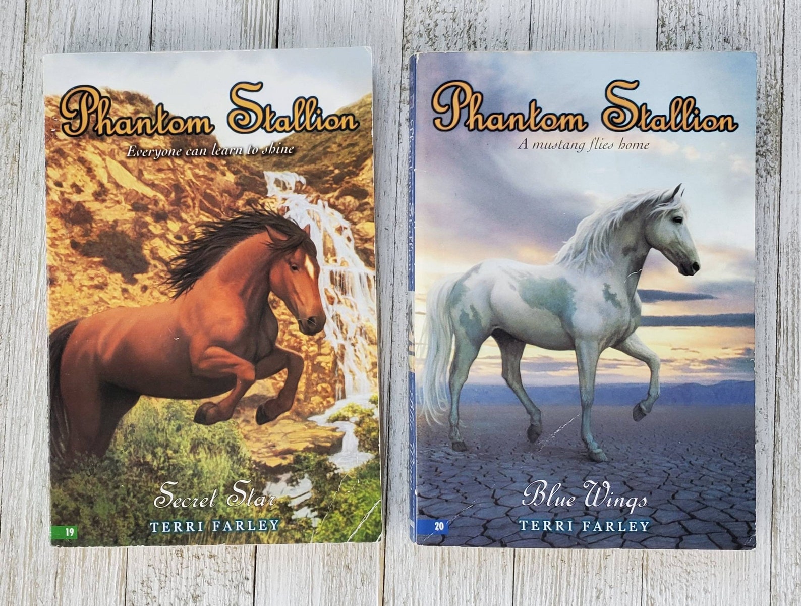 Phantom Stallion Vintage Book Series choose One - Etsy