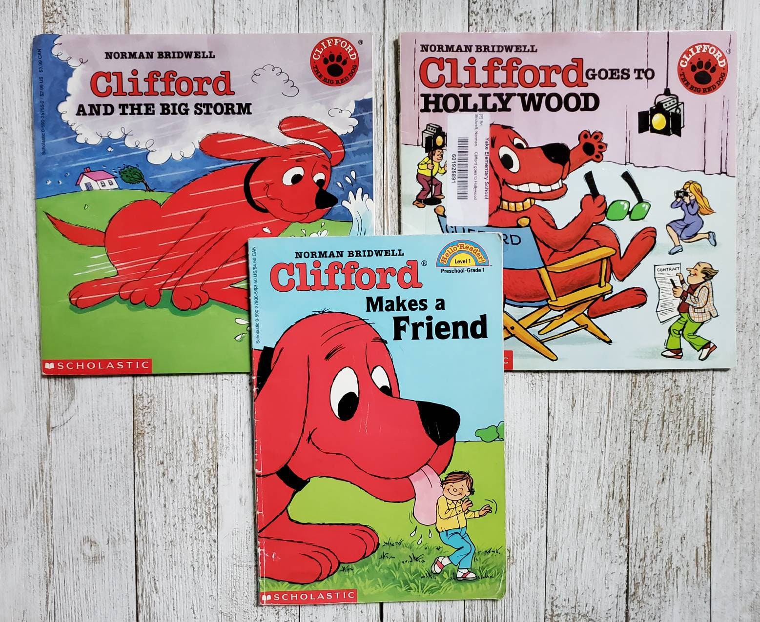 Clifford And The Big Storm