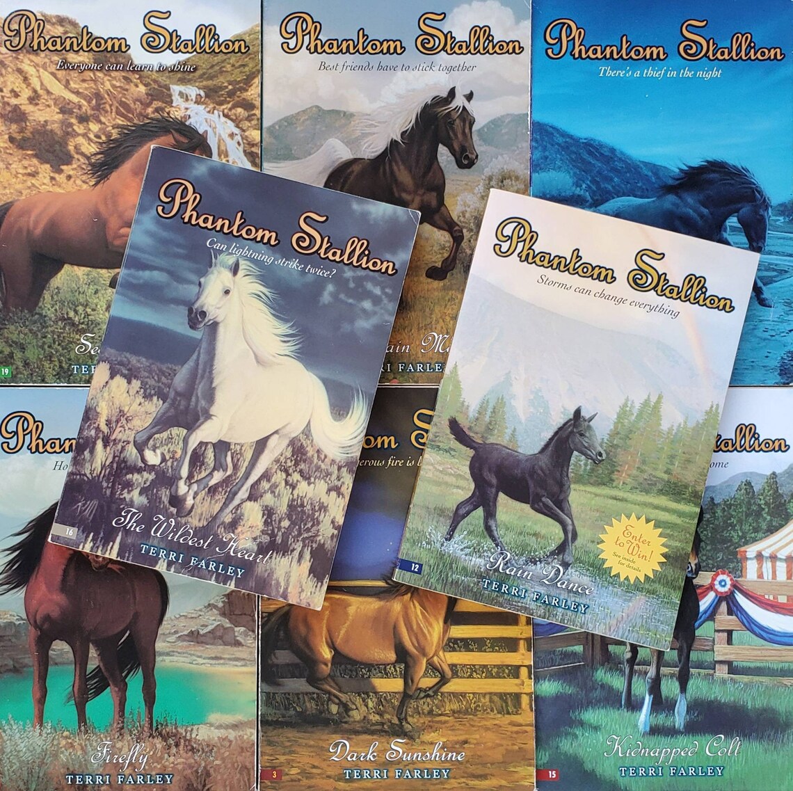 Phantom Stallion Vintage Book Series choose One - Etsy