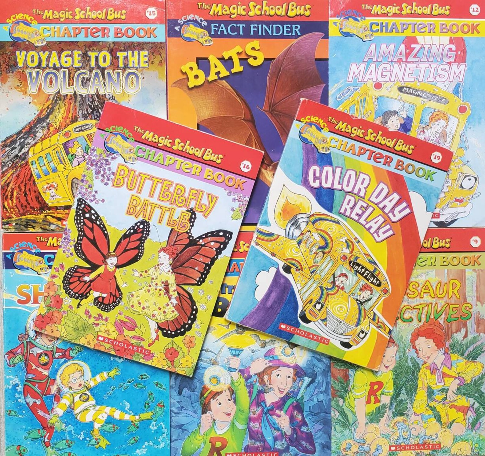 The Magic School Bus A Science Chapter Book choose One - Etsy