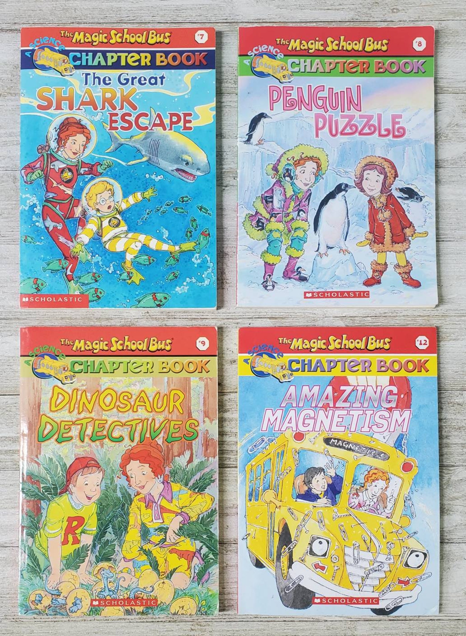 The Magic School Bus A Science Chapter Book Choose One | Etsy