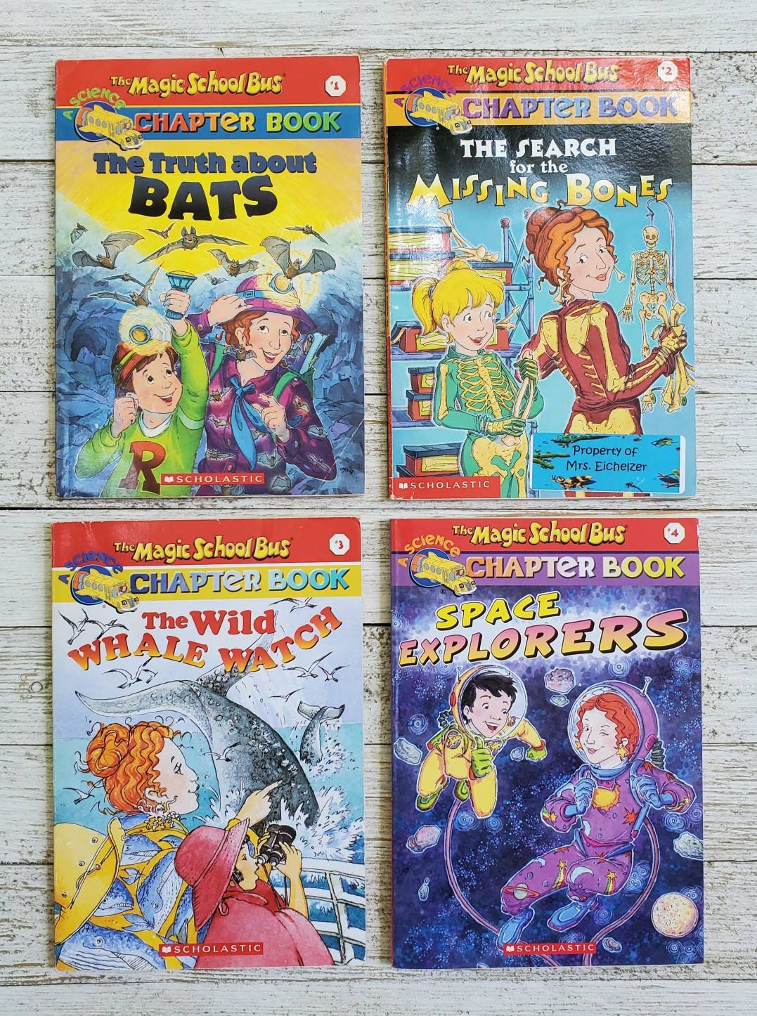 The Magic School Bus A Science Chapter Book choose One - Etsy