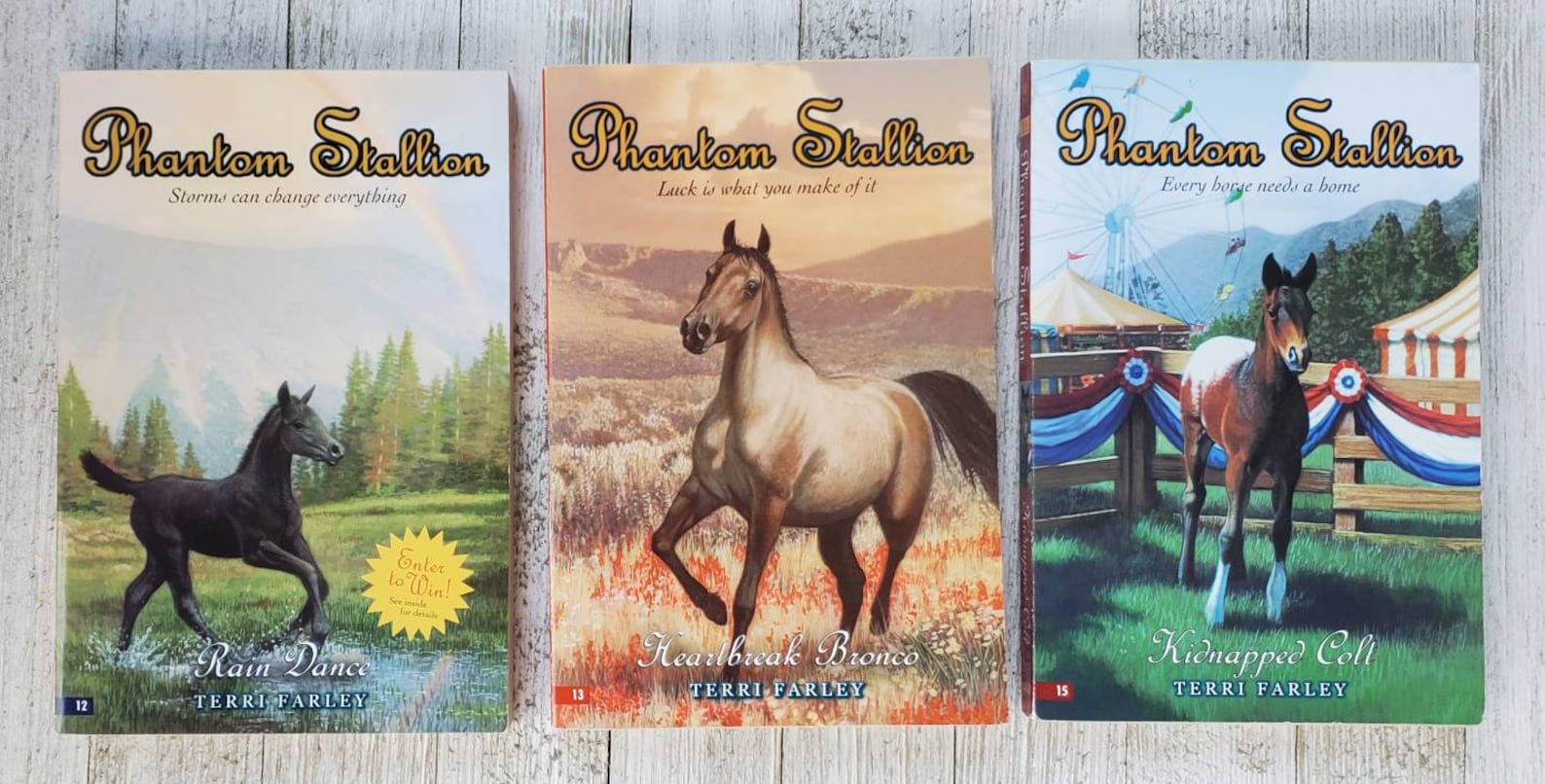 Phantom Stallion Vintage Book Series Choose One | Etsy
