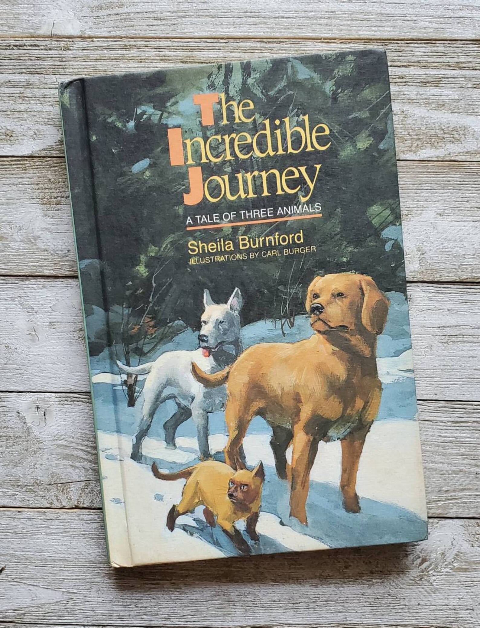 The Incredible Journey Weekly Reader Books 1961 Sheila - Etsy