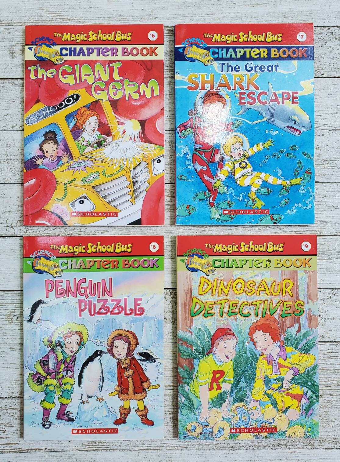 The Magic School Bus A Science Chapter Book choose One - Etsy