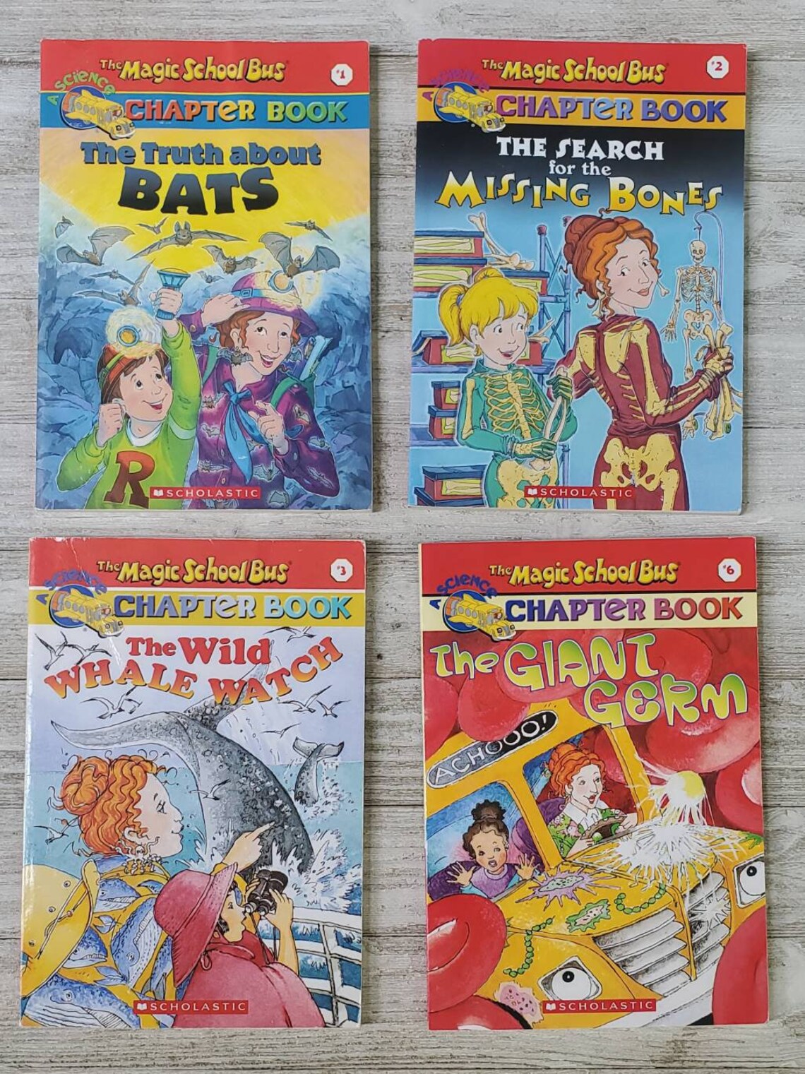 The Magic School Bus A Science Chapter Book Choose One | Etsy