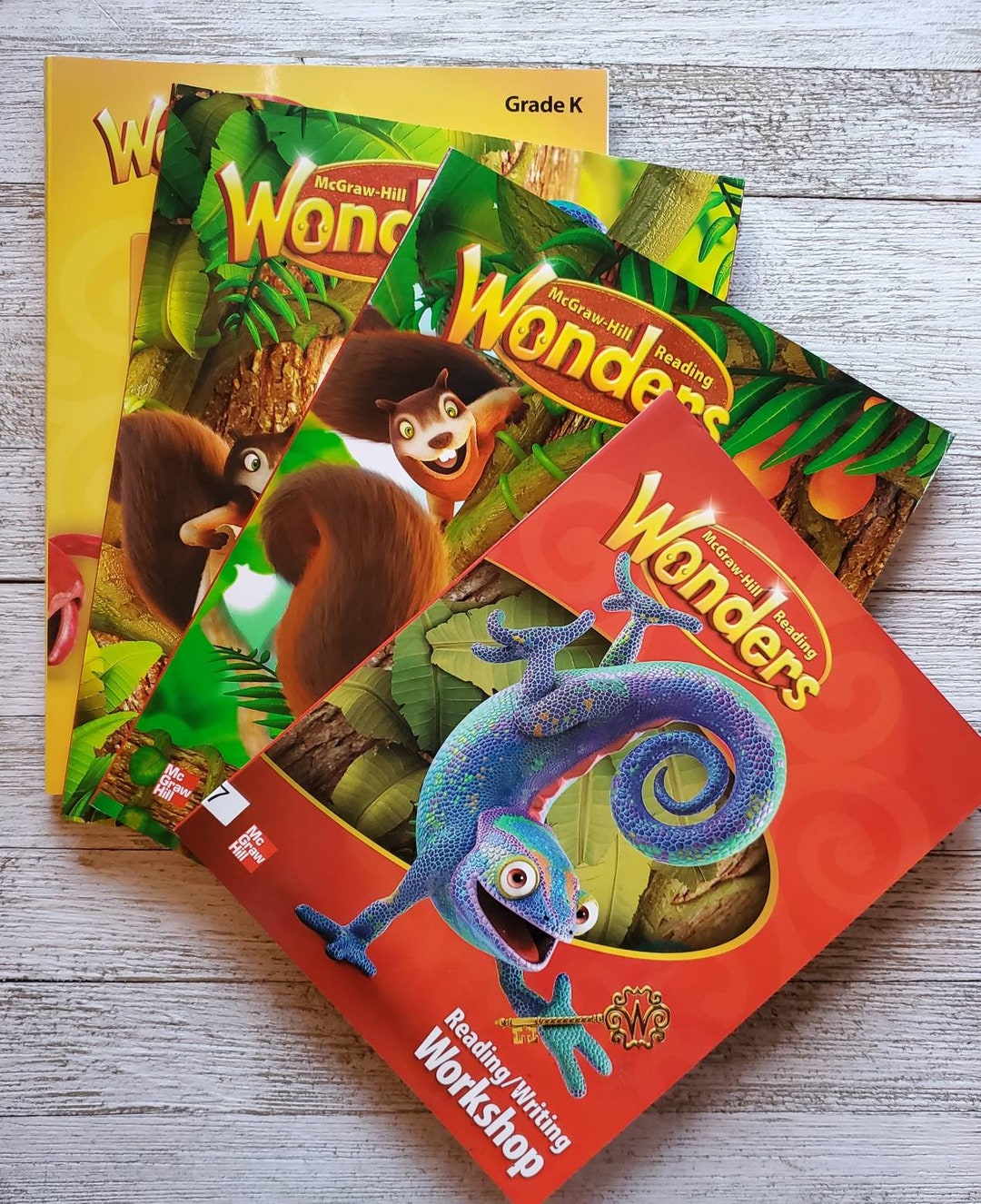Mcgraw Hill Reading Wonders bundle of 4 Books - Etsy