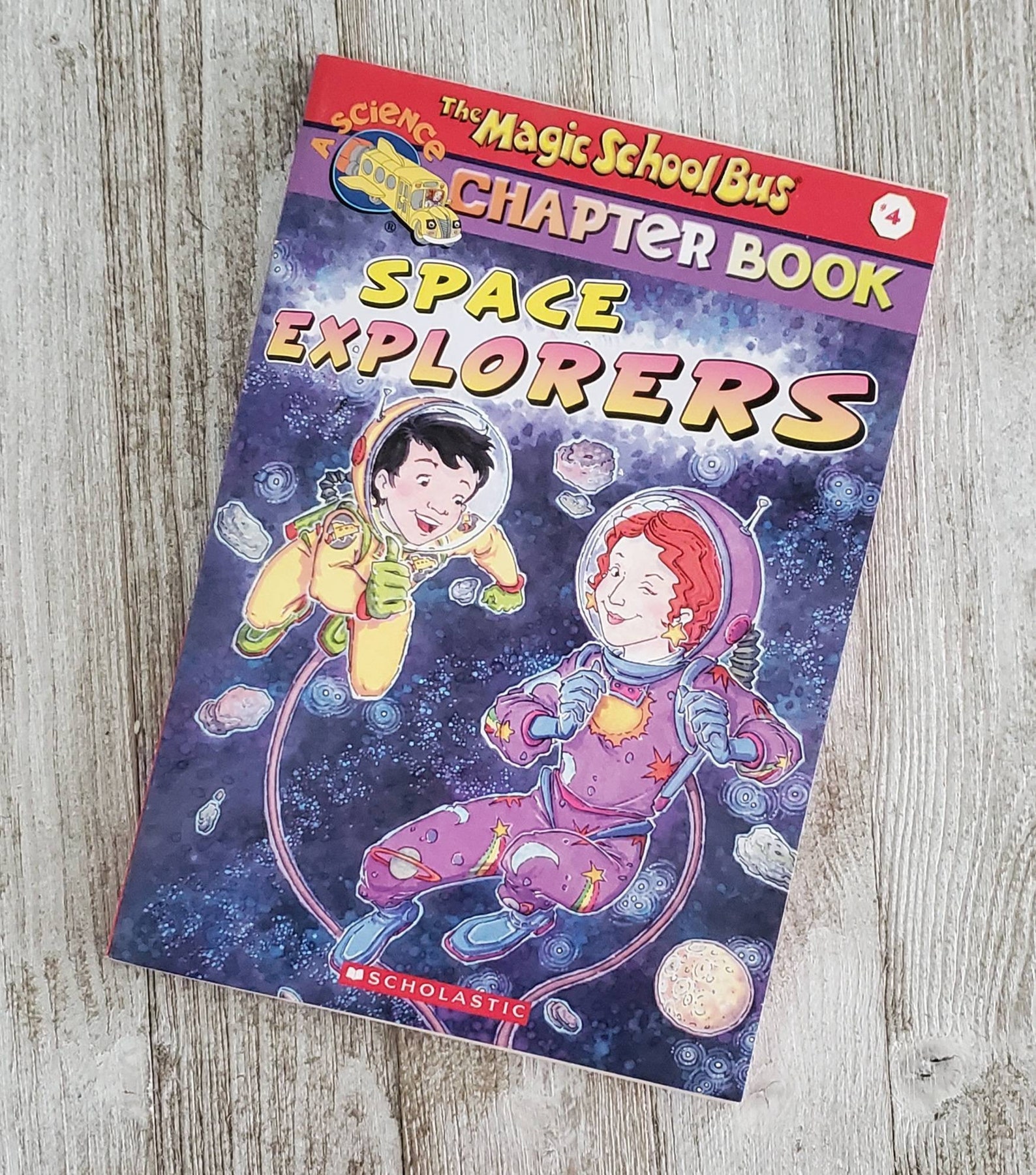 The Magic School Bus A Science Chapter Book Choose One | Etsy