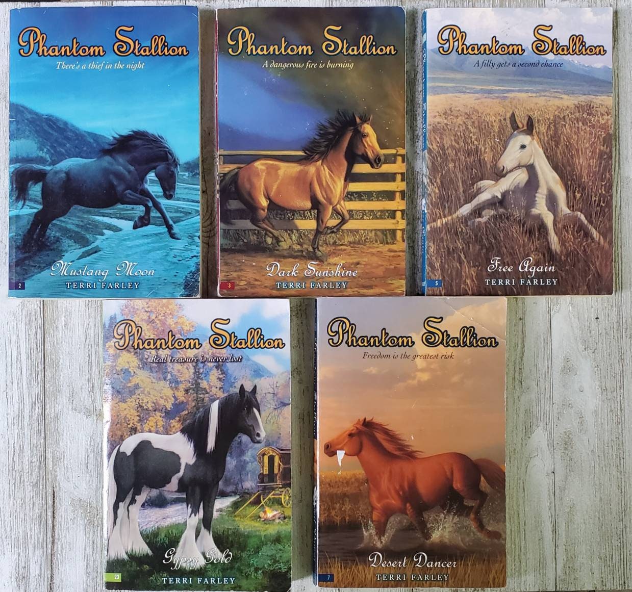 Phantom Stallion Vintage Book Series choose One - Etsy
