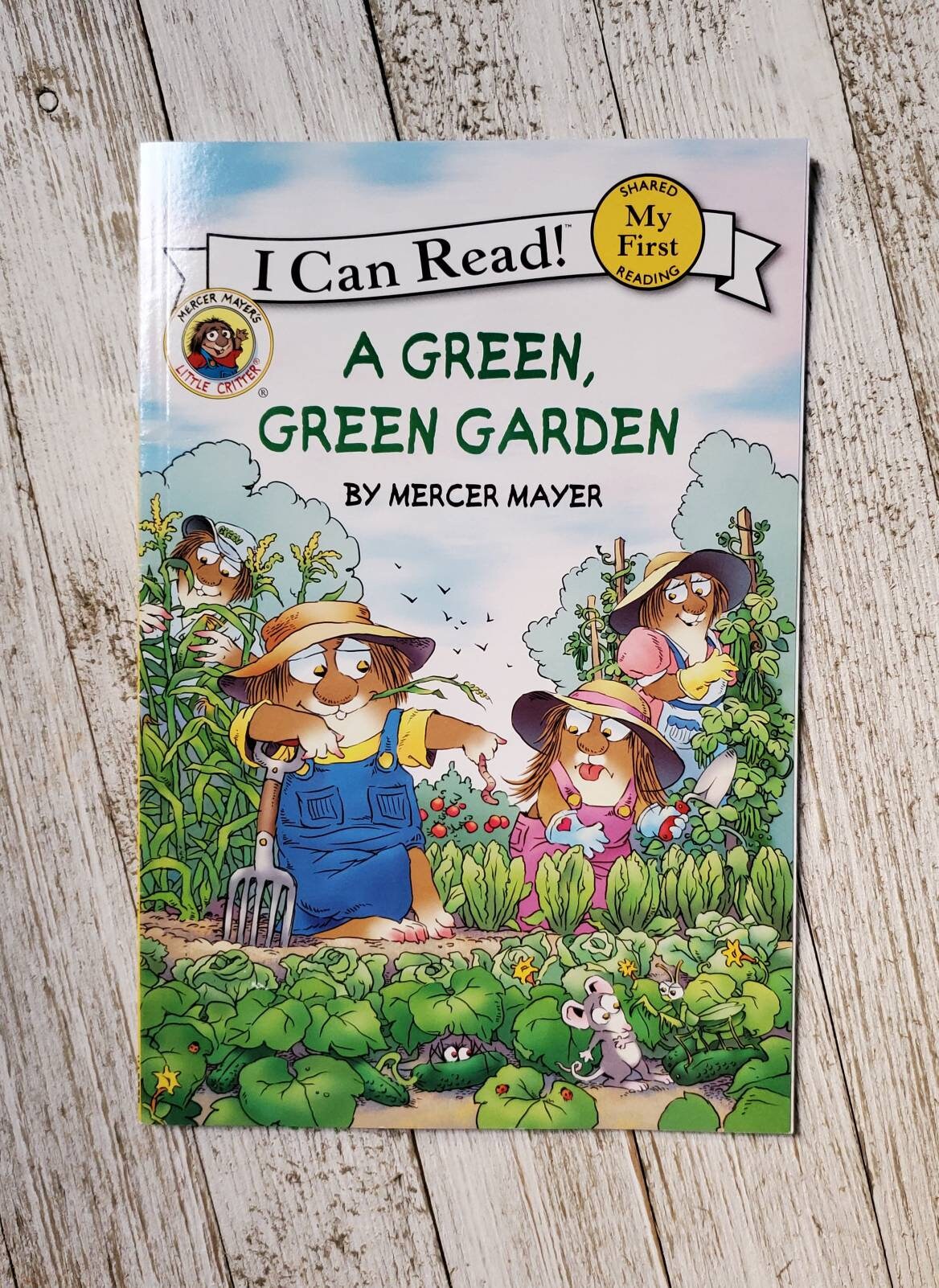 Mercer Mayer Coloring Pages