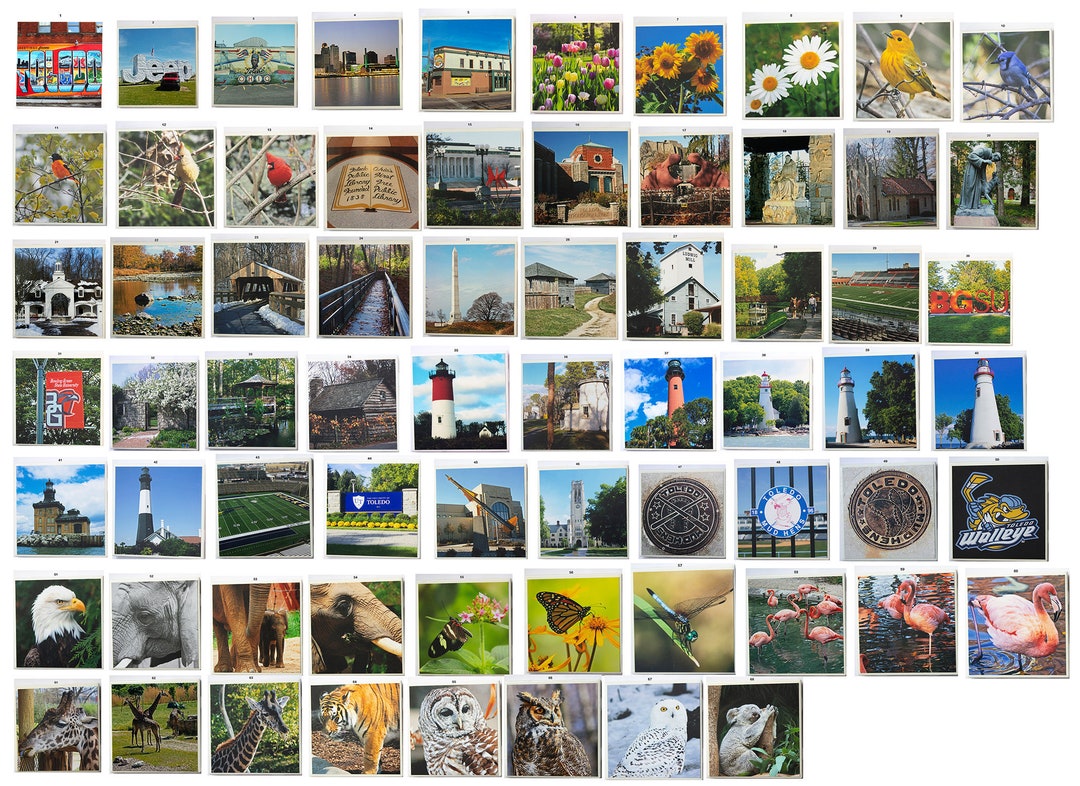 NW Ohio Areas Photo Coasters. Iconic Locations Like the Museum, Zoo ...