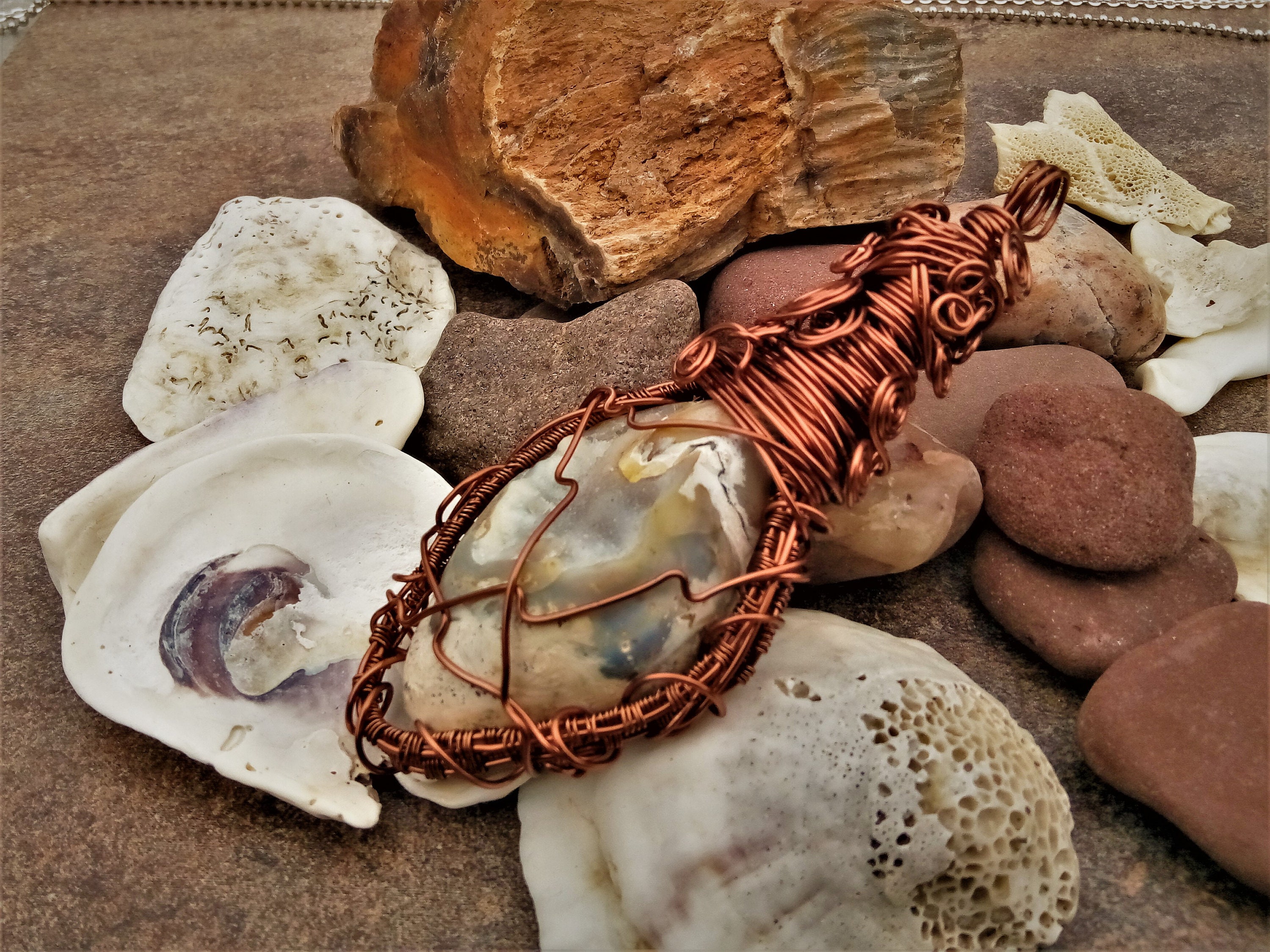 Crystallized Gastropod Shell Fossil Wire Wrapped | Etsy