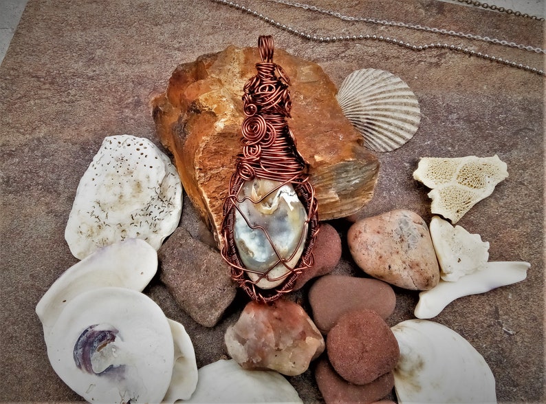 Crystallized Gastropod Shell Fossil Wire Wrapped | Etsy