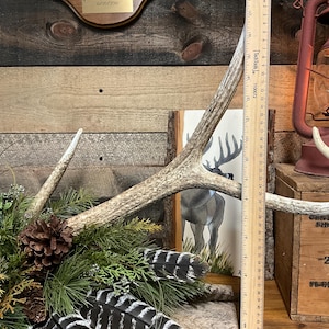 Rustic Elk Antler Centerpiece, Elk Antler, Elk Antler Table Piece ...