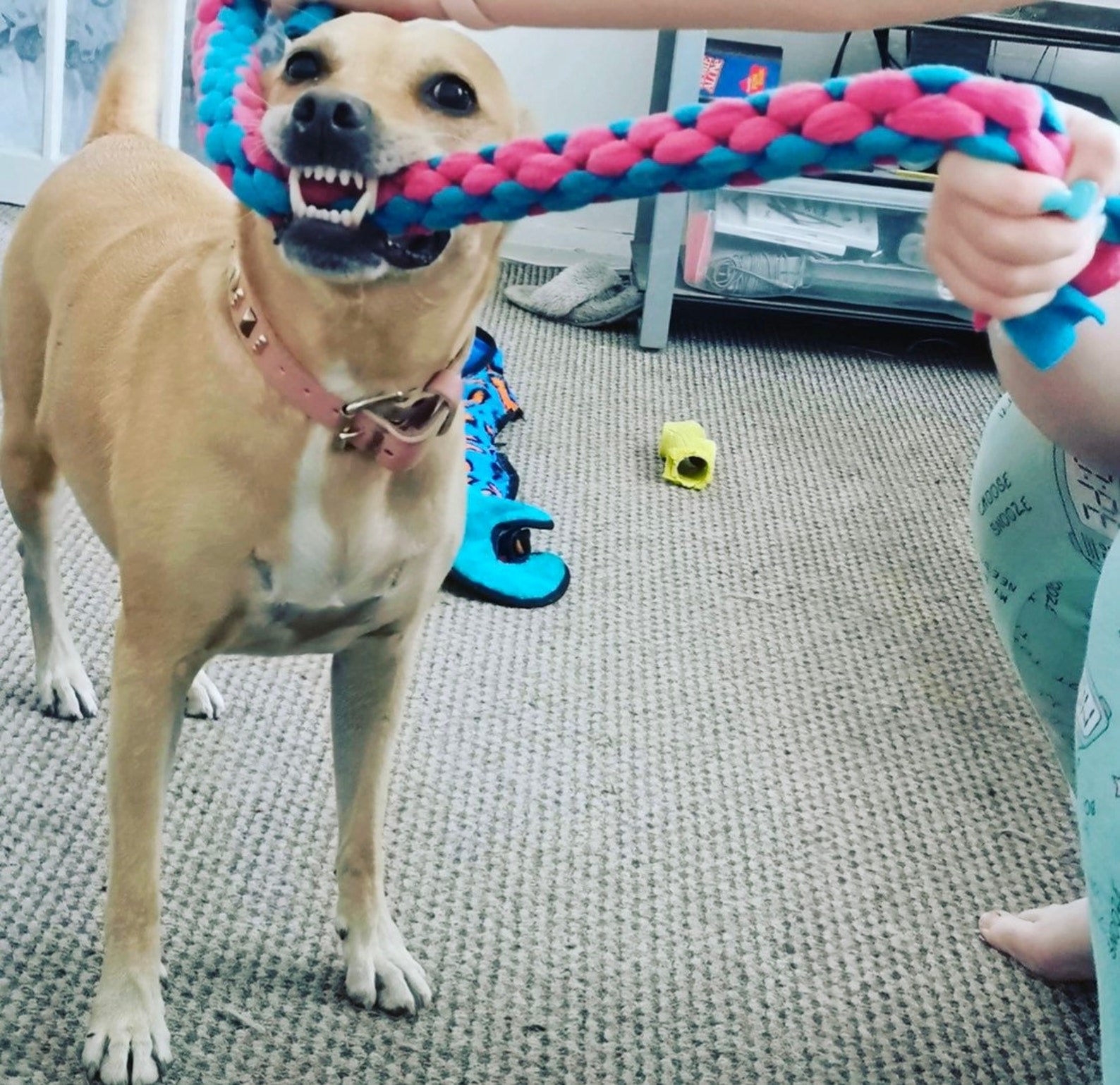 Large Size Tightly Braided Fleece Dog Tug Rope Toy Dog Tug of - Etsy