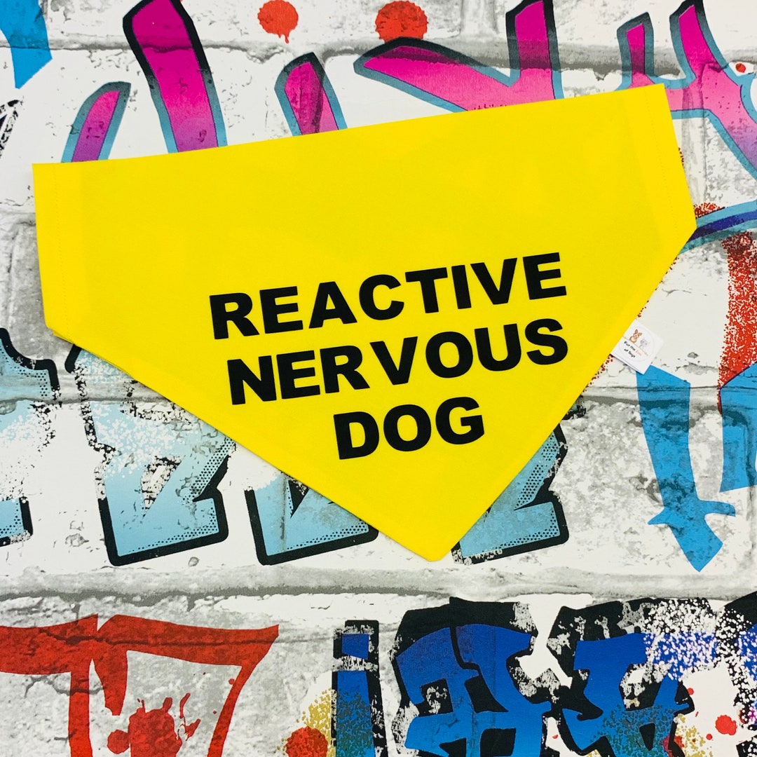 Nervous Reactive Dog Yellow Cotton Slip Collar Dog Bandanna - Etsy UK