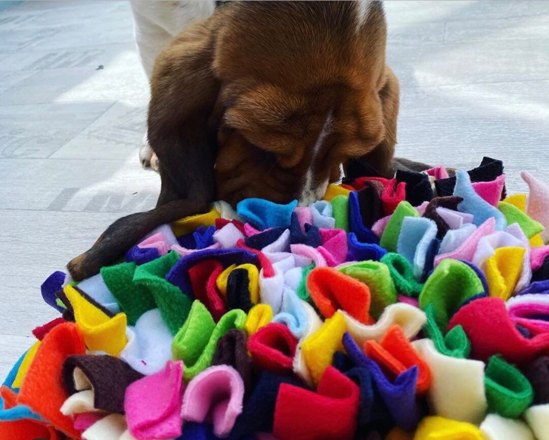 Fleece Snuffle Mat for Dogs, Cats, and Hedgehogs - Slow Feeder ...