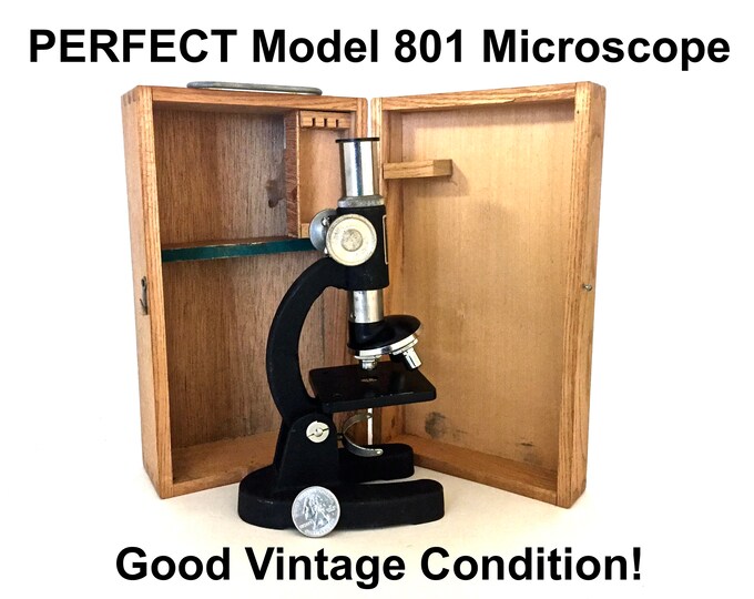 PERFECT Microscope Model 801 in Wood Box Scientific Childs Laboratory ...