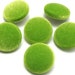 Velvet Buttons, Lime Green Velvet Fabric Buttons, Shank, Pinback ...