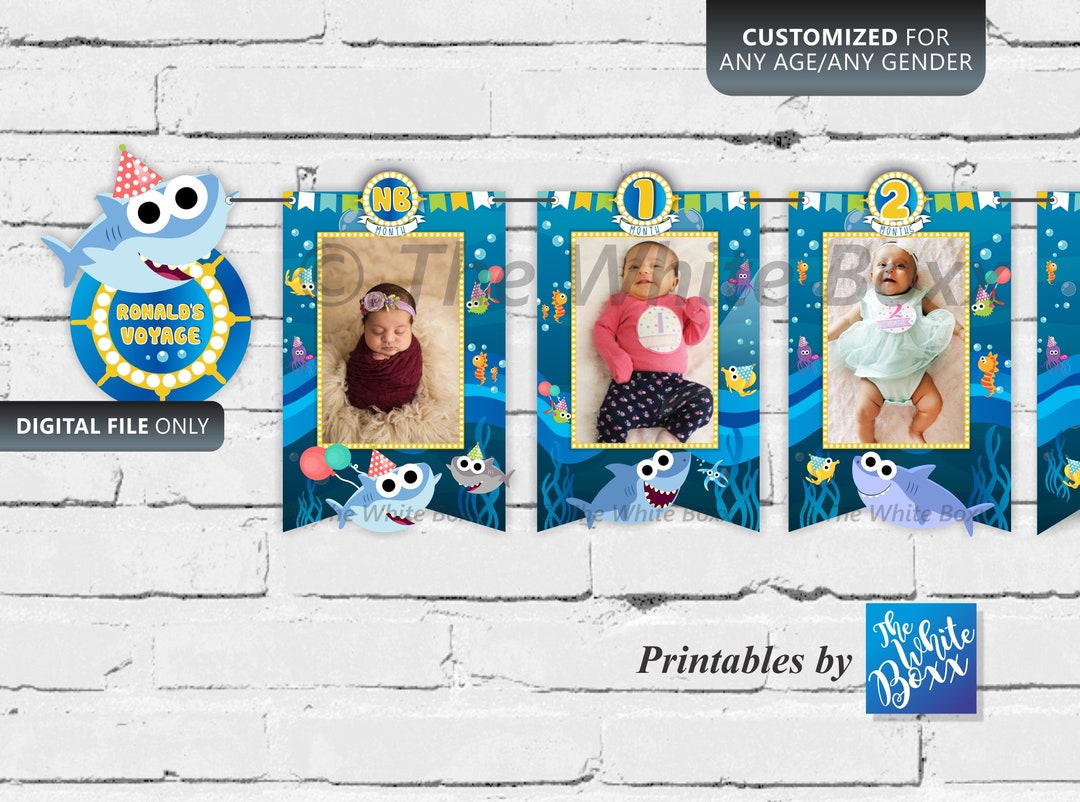 Baby Shark Monthly Photo Banner for Birthday Party / Baby Shower - Etsy