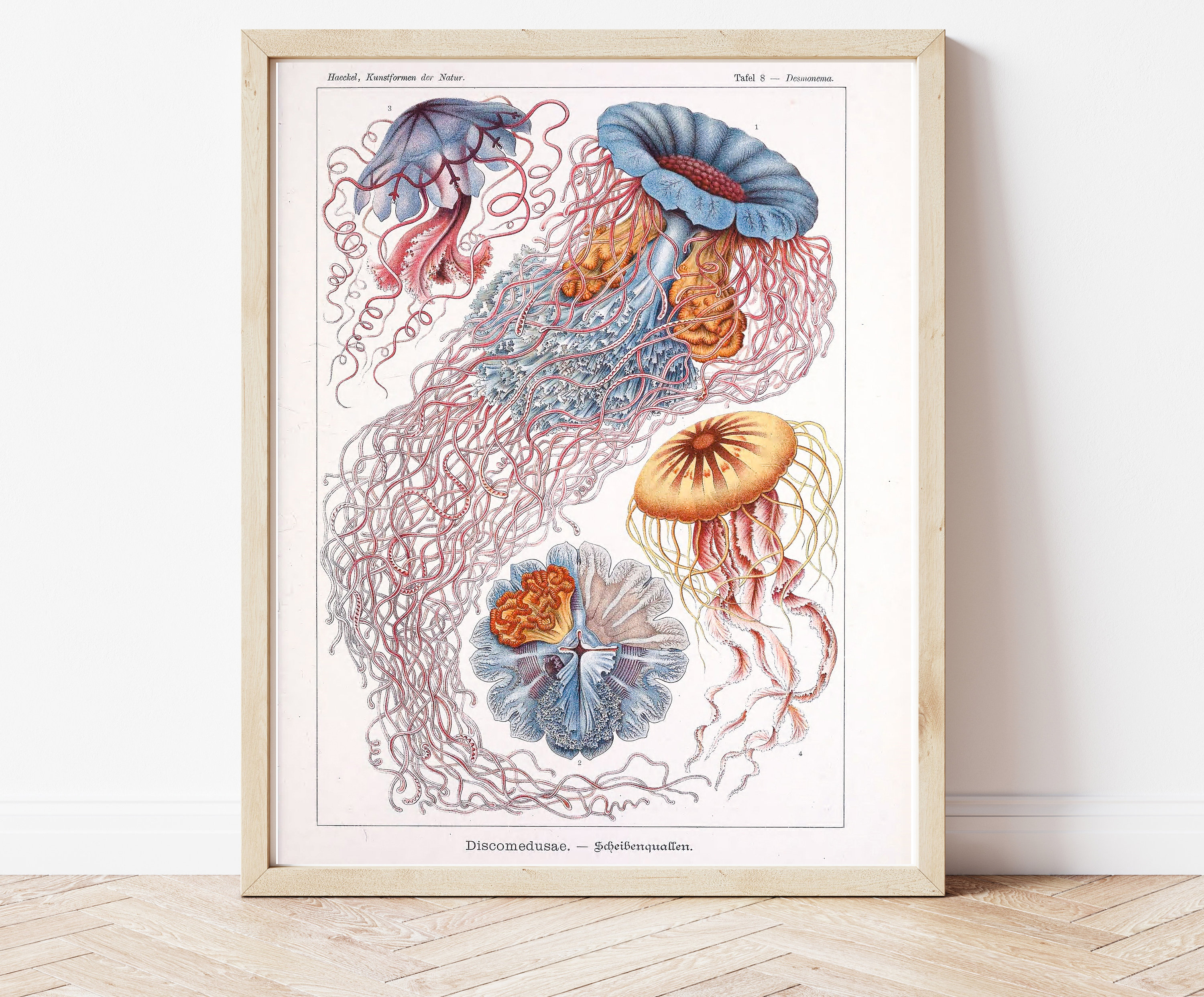 Marine Biologist Drawing