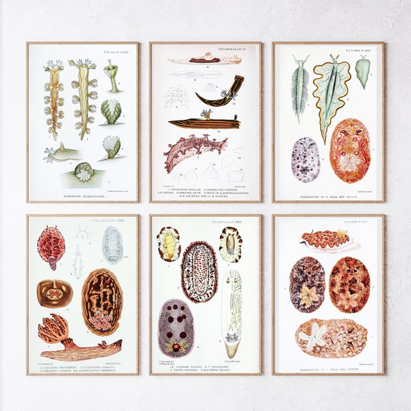 Biology Poster - Etsy