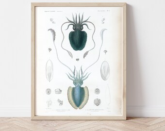 Sea Slug Digital Art Downloadable Print Science Art Ocean - Etsy