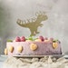 Personalised First Birthday Cake Topper. Dinosaur Theme. Name and Age ...