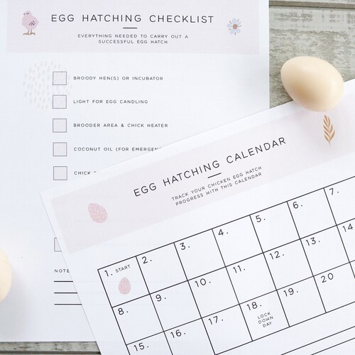 Printable Egg Hatching Checklist Kit With Calendar Egg - Etsy
