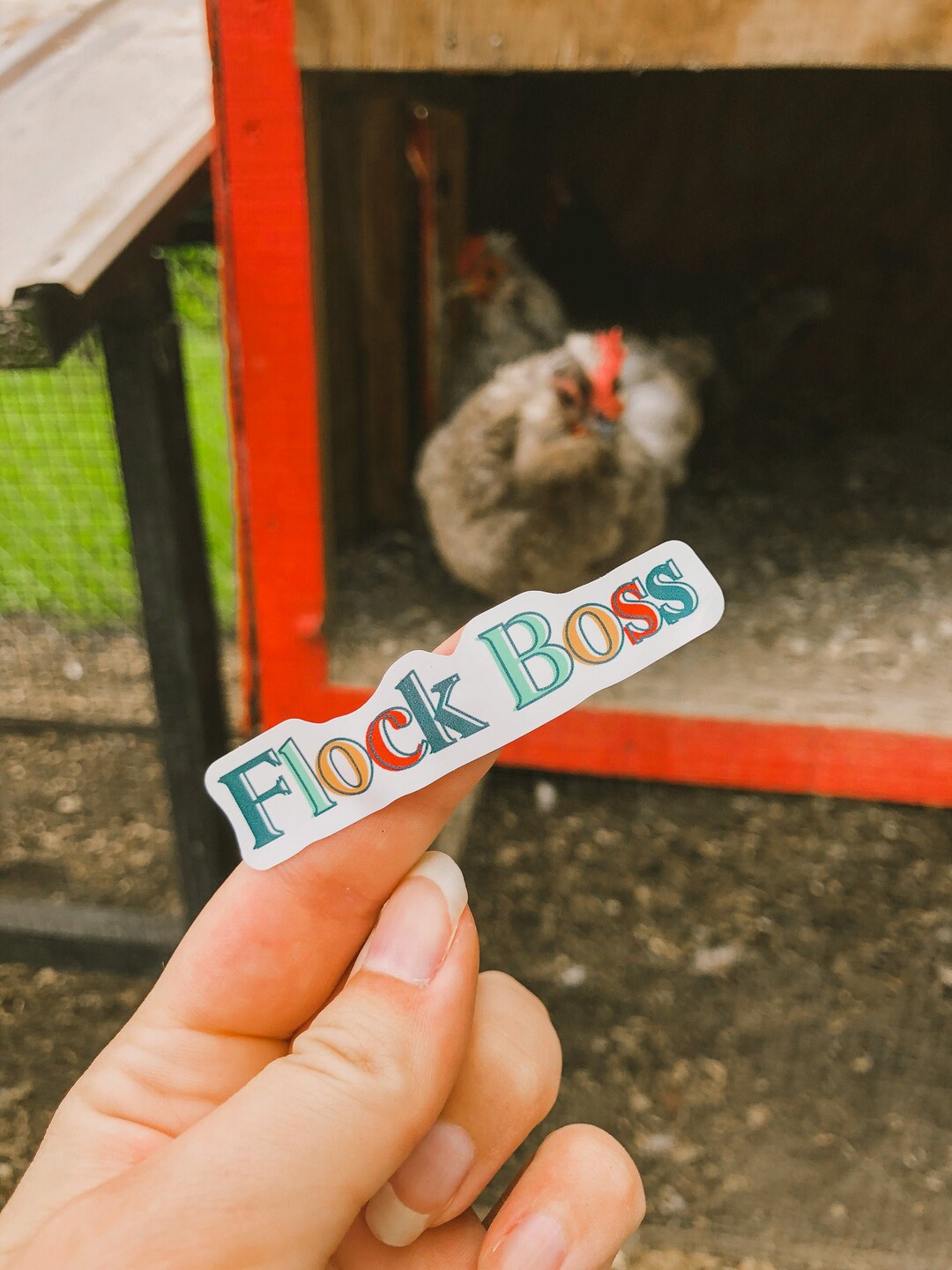 Flock Boss Sticker, Chicken Farm Sticker, Chicken Flock Sticker ...