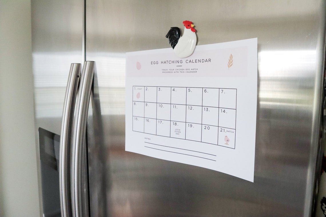 Printable Egg Hatching Checklist Kit With Calendar, Egg Calendar ...