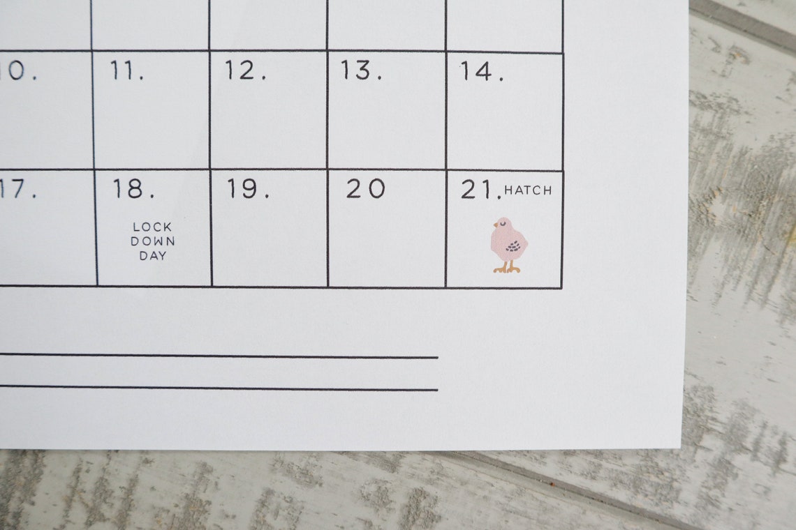 Printable Egg Hatching Checklist Kit With Calendar, Egg Calendar ...