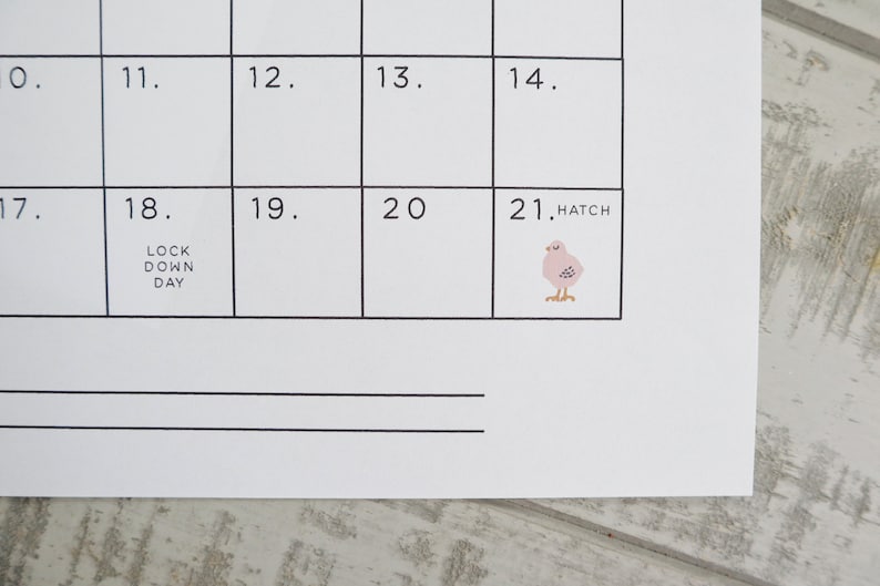 Printable Egg Hatching Checklist Kit With Calendar, Egg Calendar ...