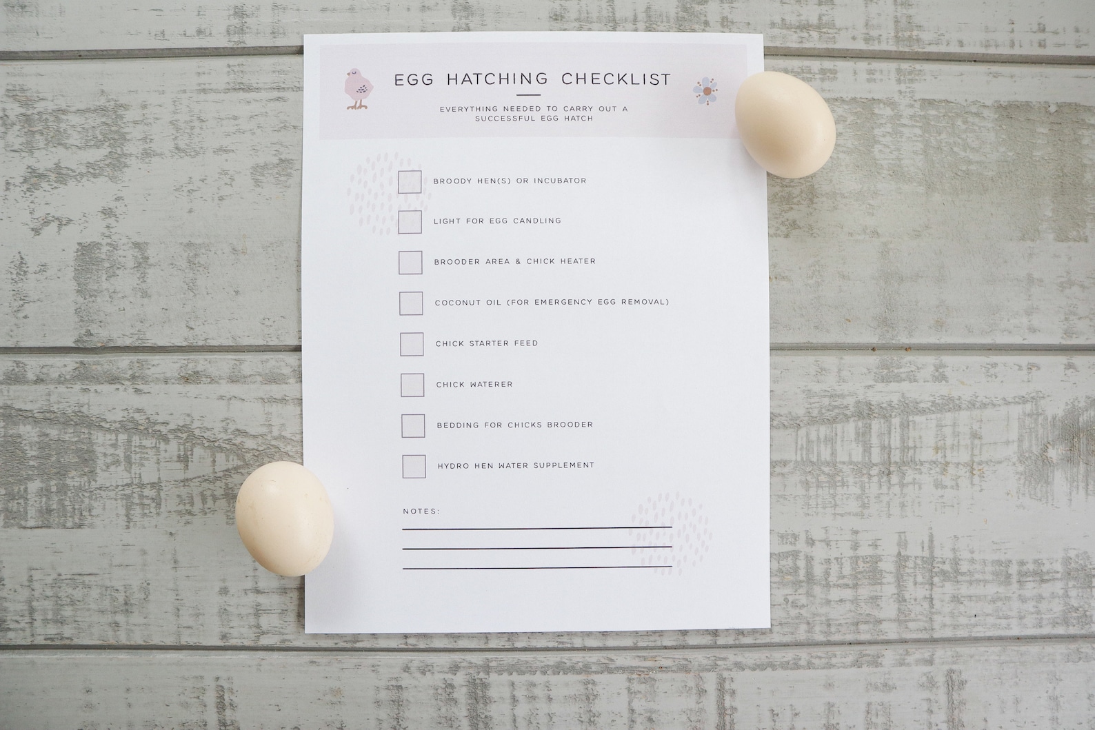 Printable Egg Hatching Checklist Kit With Calendar, Egg Calendar ...