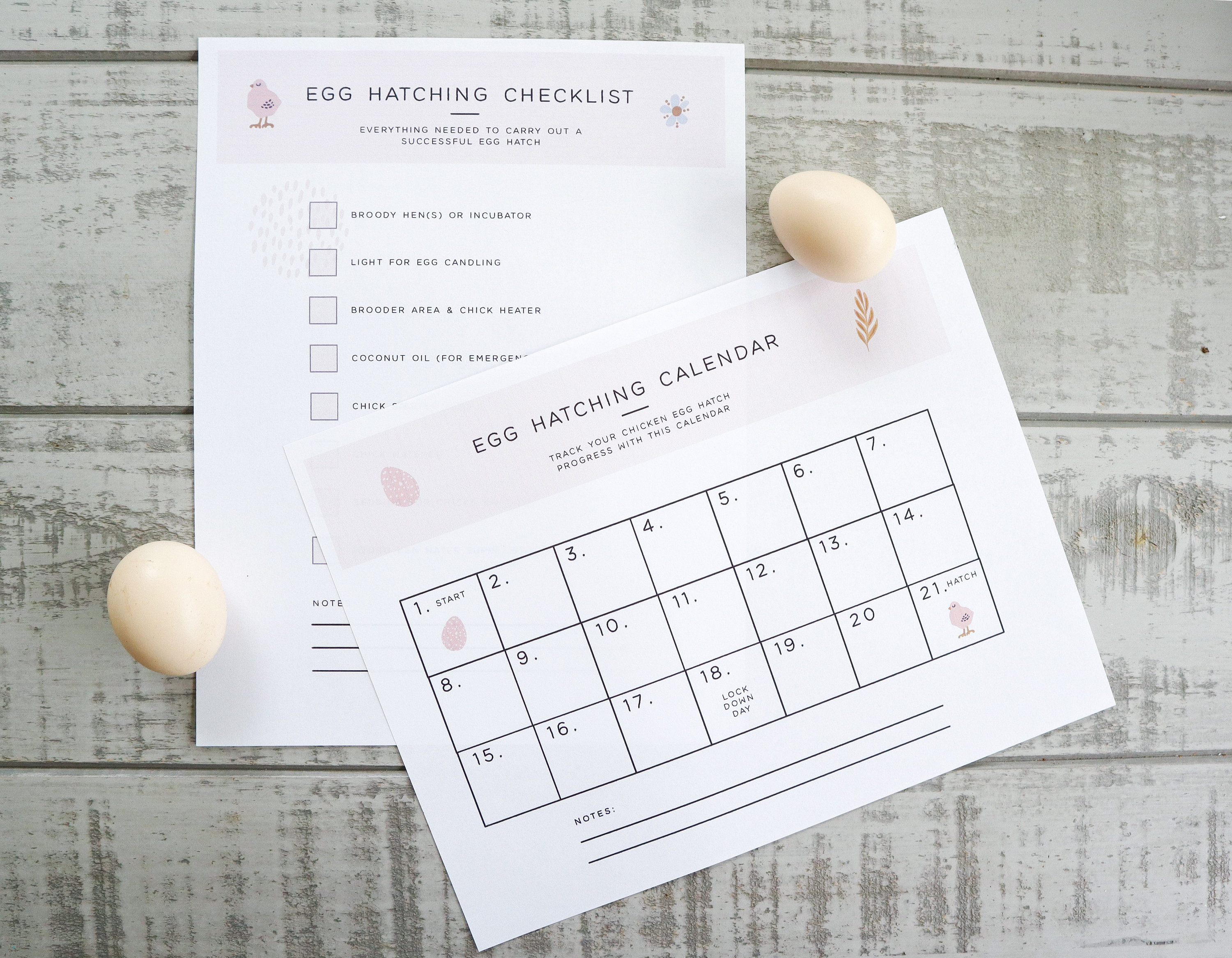 Printable Egg Hatching Checklist Kit With Calendar, Egg Calendar ...