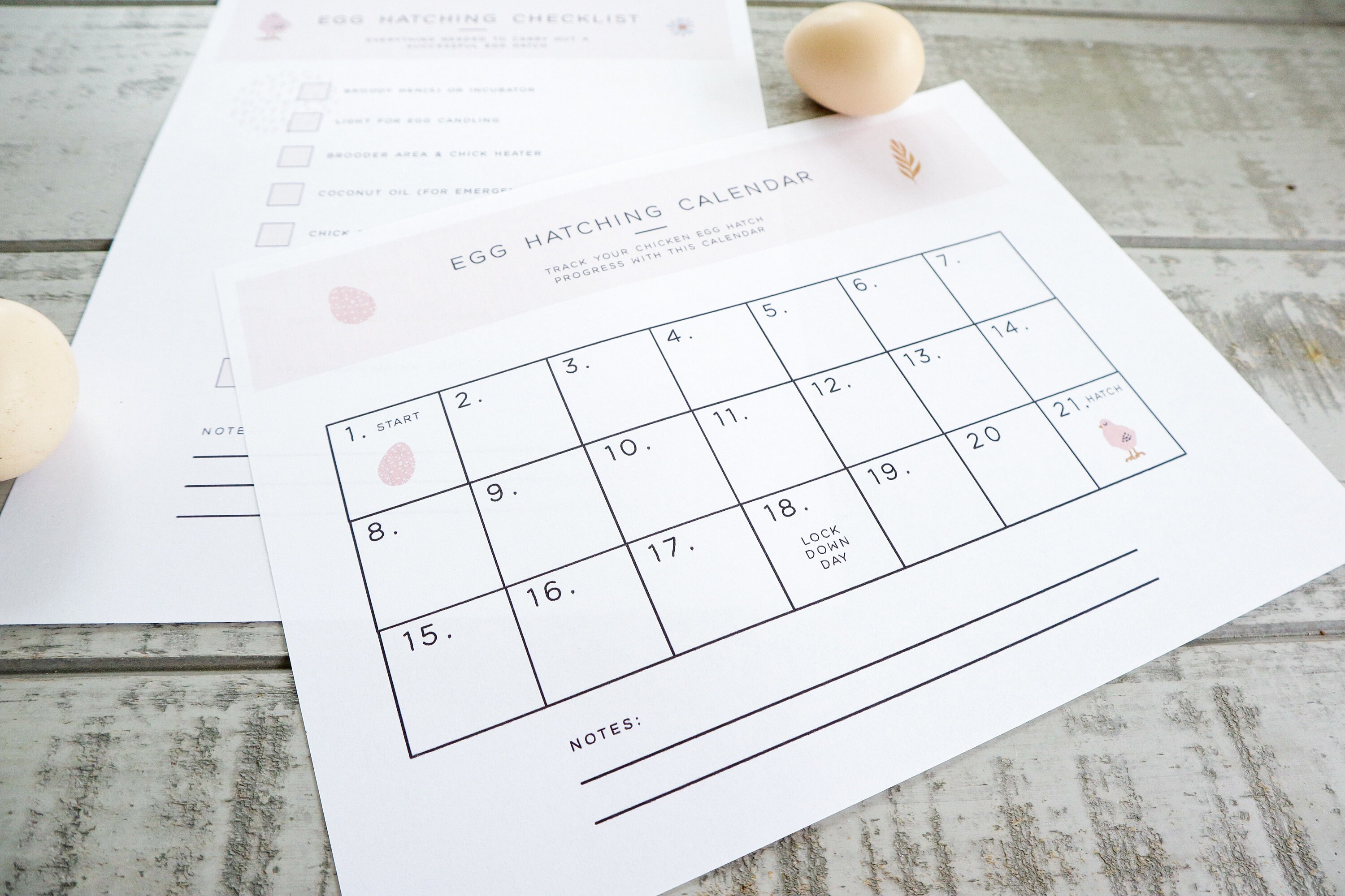 Printable Egg Hatching Checklist Kit With Calendar, Egg Calendar ...