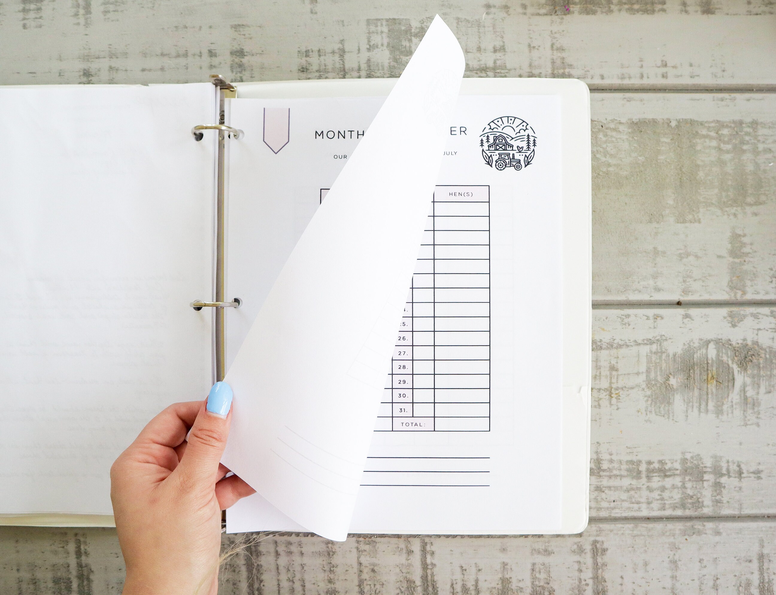 Printable Egg Tracker Bundle, Egg Sales Tracker, Flock Egg Tracker ...