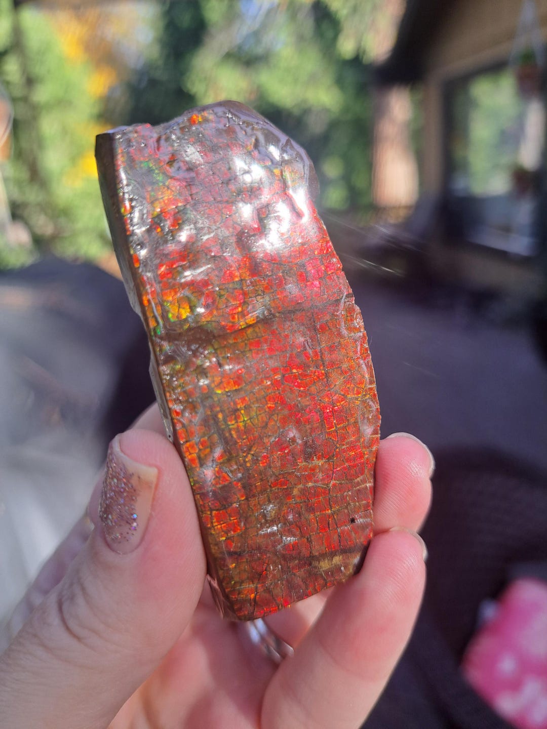 Bright Red Fire Ammolite - Etsy