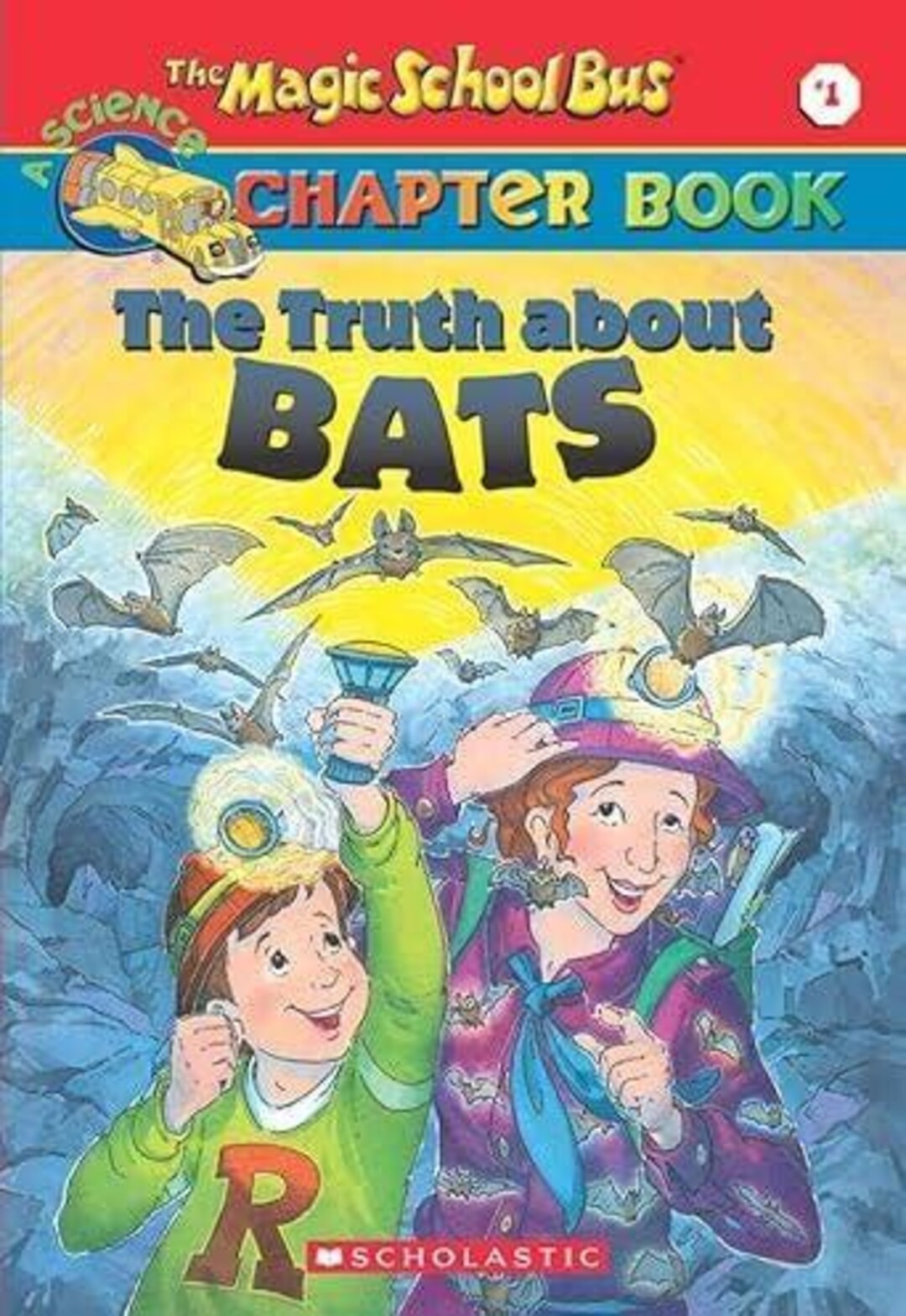 Magic School Bus Chapter Book Series ~ Guided Reading ~ Class Set - Etsy