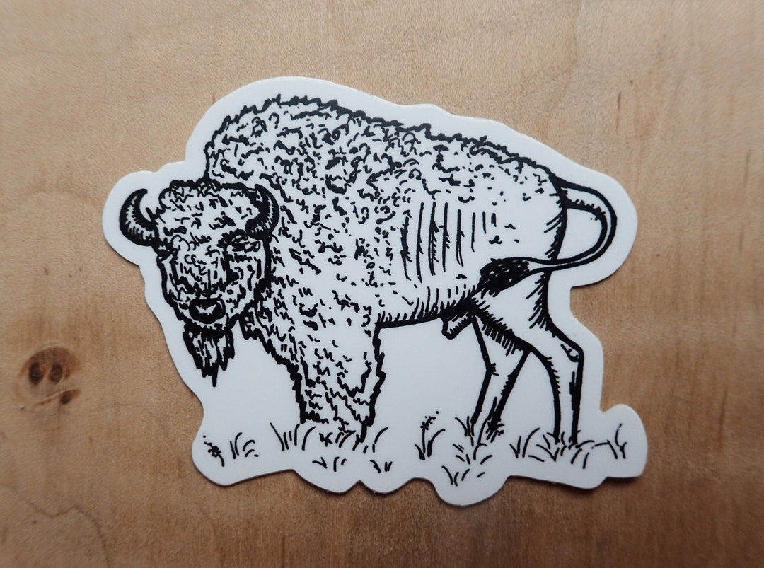 Buffalo Bison Bumper/laptop/water Bottle Sticker - Etsy
