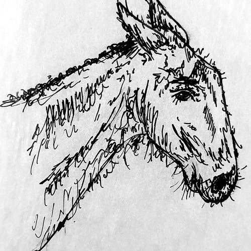 WiseMuleStudio - Etsy