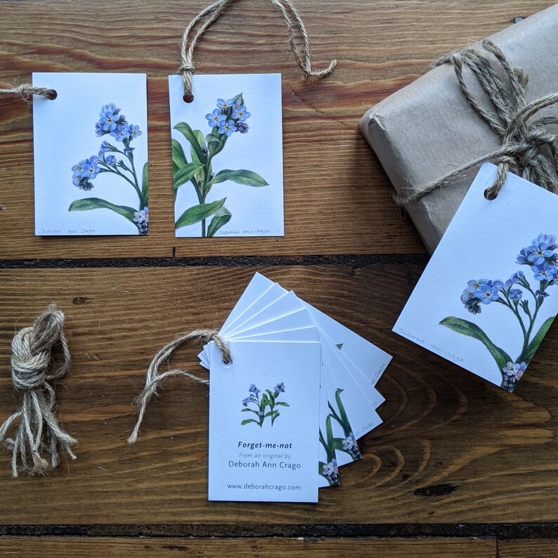 Set of 6 Forget-me-not Gift Tags / Botanical Gift Tags / Blank | Etsy