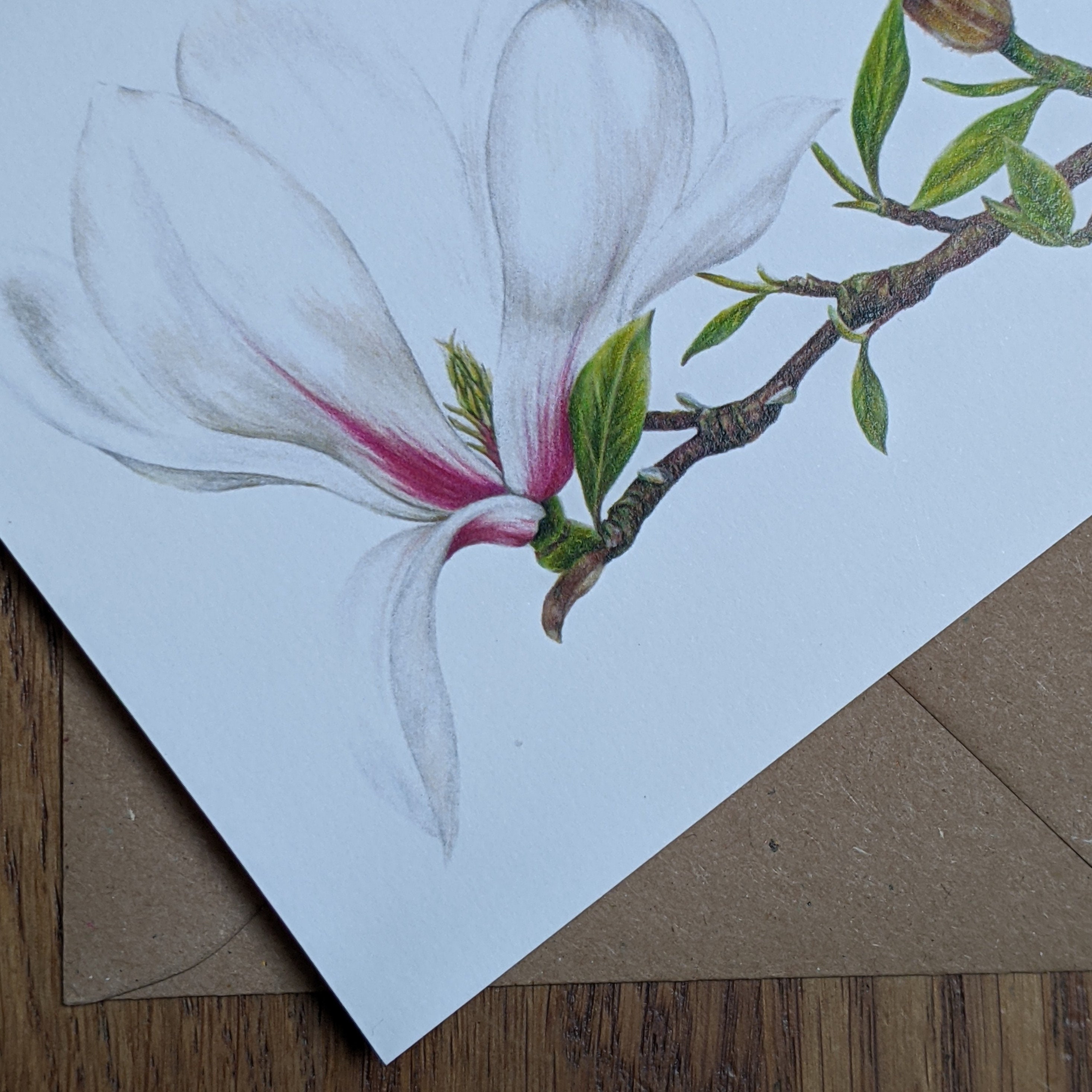 Magnolia Card / Botanical Flower Card / Spring Flowers /floral Greeting ...