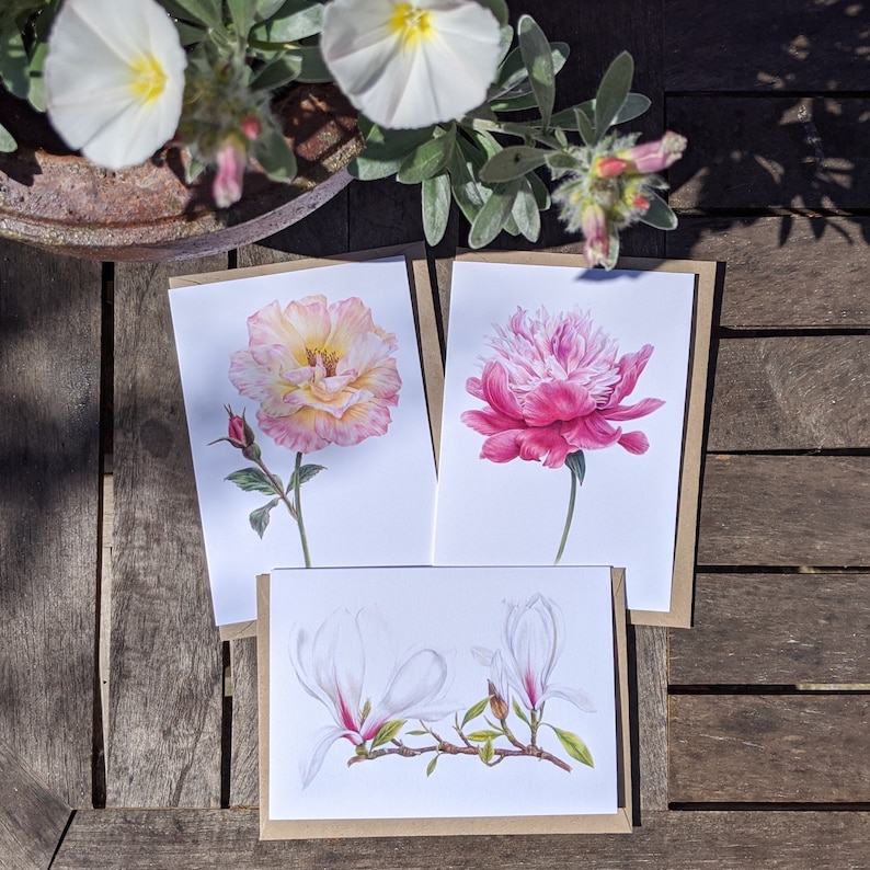 Pink Botanical Flower Cards - Pack of 3 / Peony Card (bowl of Beauty ...