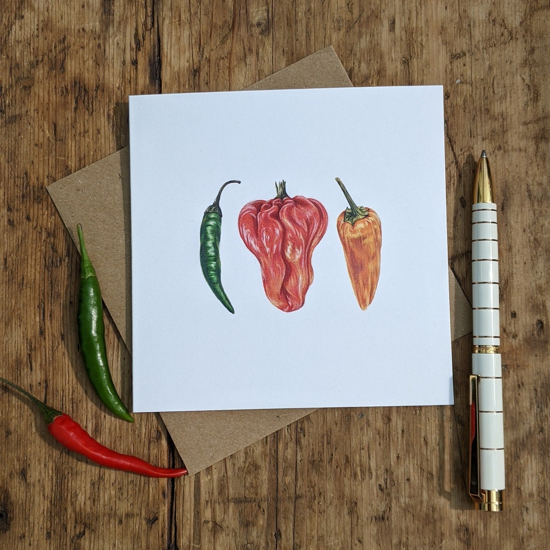 Chilli Card / Chilli Pepper Greeting Card / Hot Chilli Pepper Botanical ...